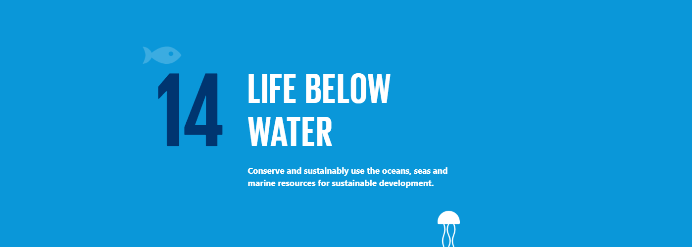 SDGs 14 Life Below Water - 台煬實業